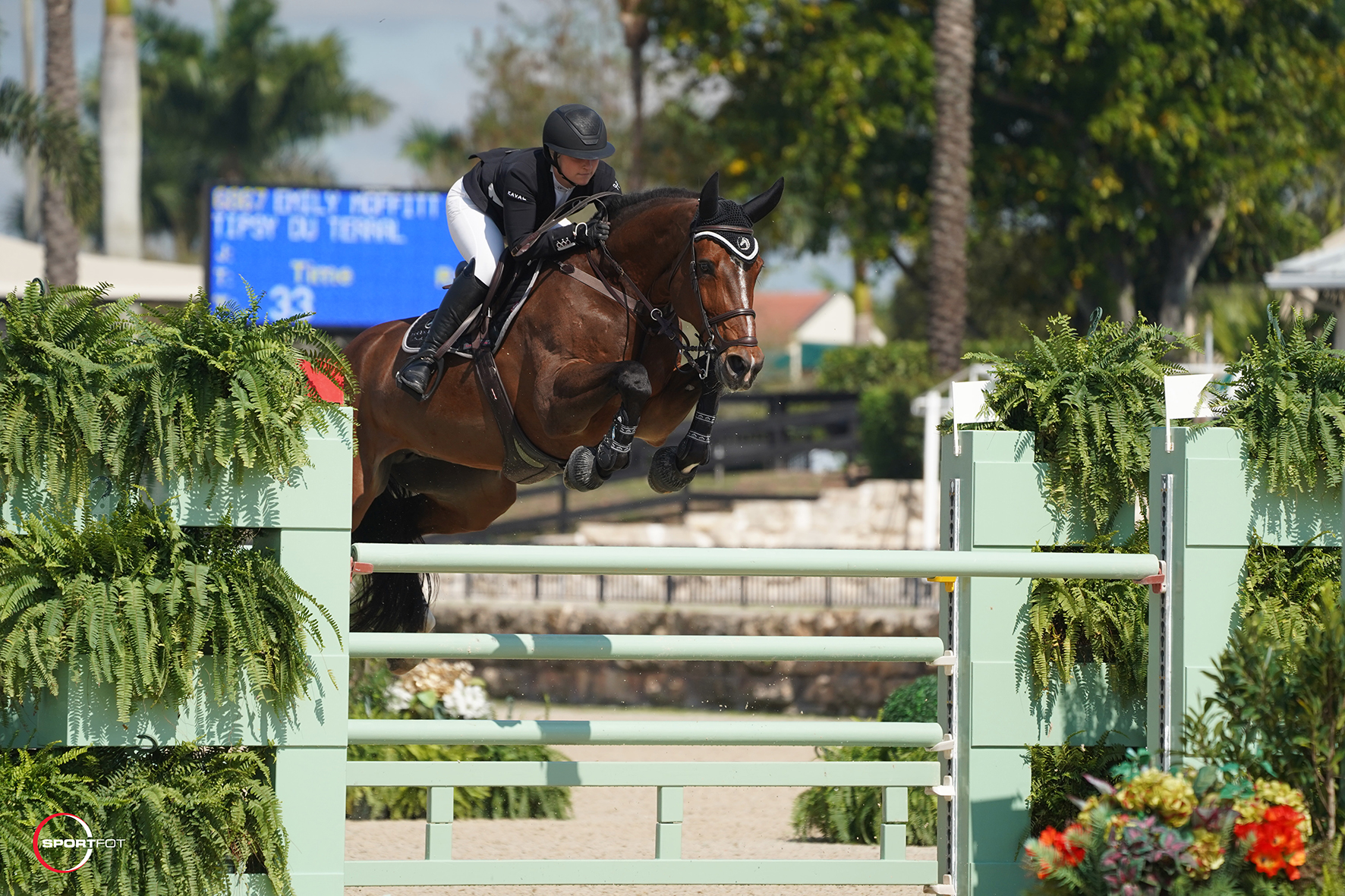 Emily Moffitt and Tipsy Du Terral Top the $37,000 Adequan WEF Challenge ...