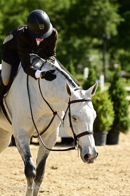 Controlling the Uncontrollable with Horses - The Plaid Horse Magazine