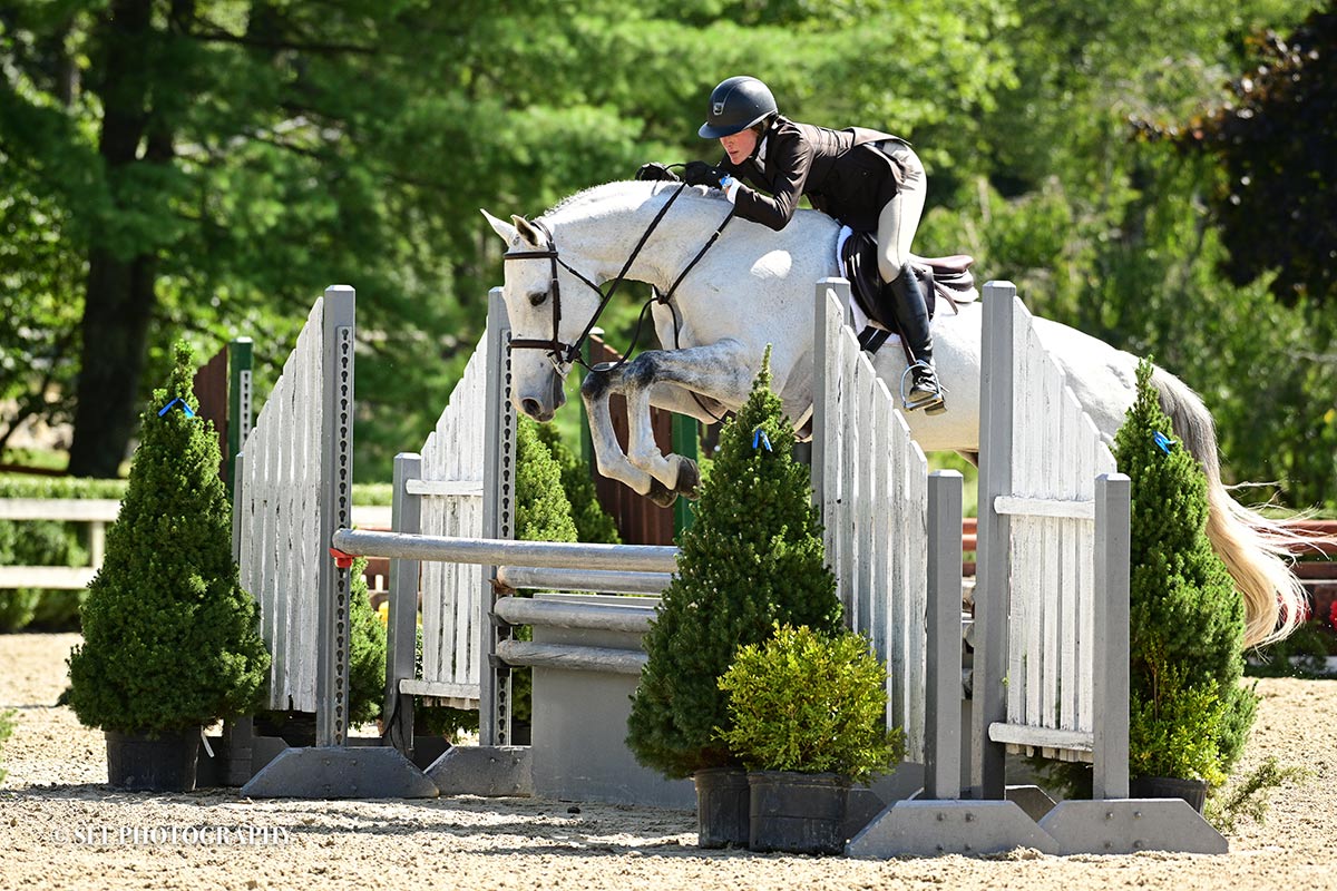 Controlling the Uncontrollable with Horses - The Plaid Horse Magazine
