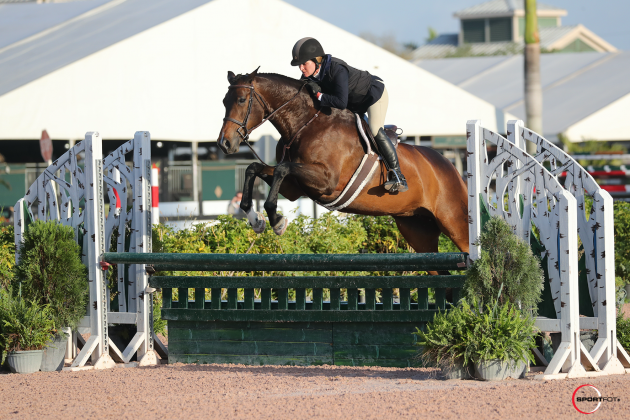 Sandra Ferrell Pilots Notorious to the Green Hunter 3’ Championship ...