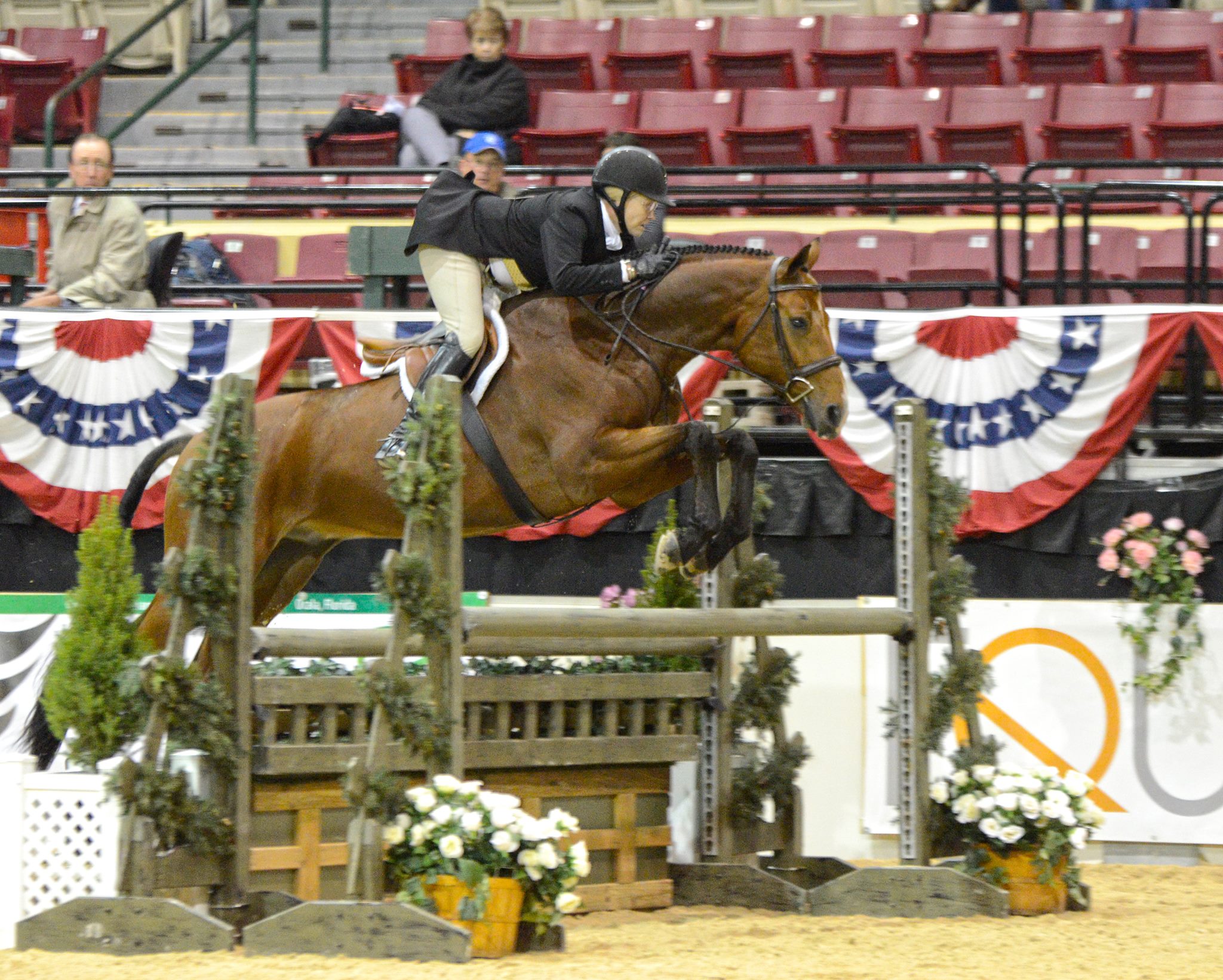 Leslie Steele: All I Ever Wanted - The Plaid Horse Magazine