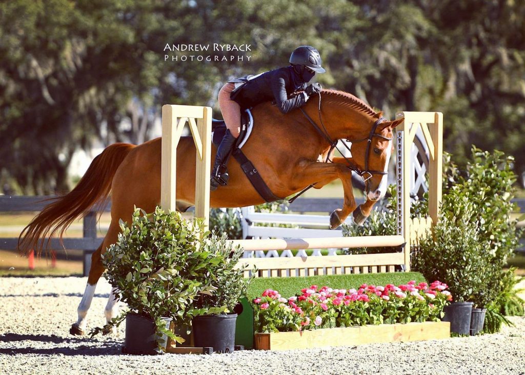 Riders Working the Rust Breeches Look - The Plaid Horse Magazine