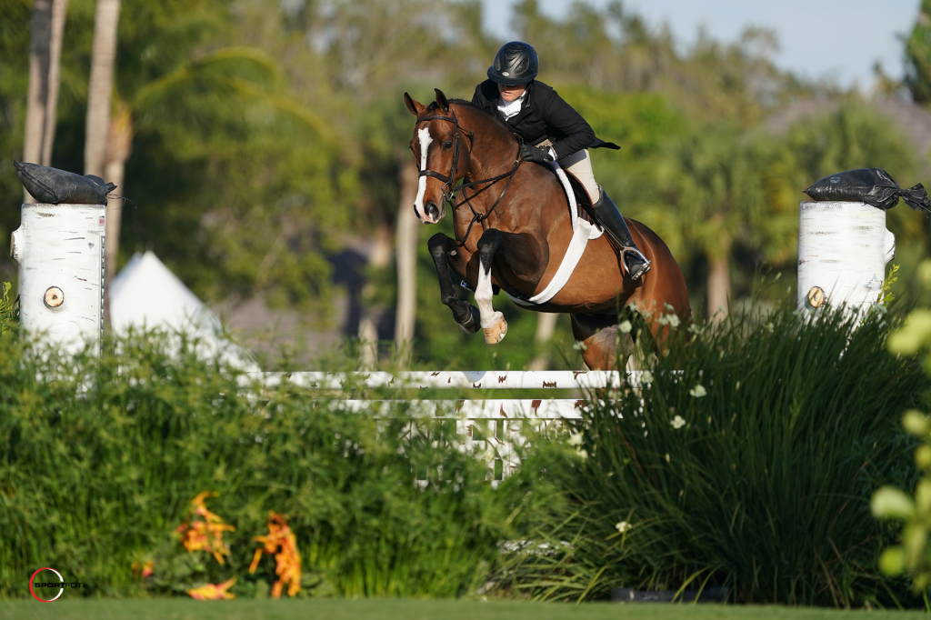 Colvin, Benjamin, and Marnell Earn Victories in the $10,000 USHJA ...