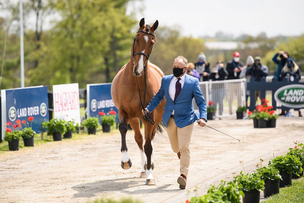 Land Rover Kentucky Three-Day Event Jog Photo Gallery - The Plaid Horse ...