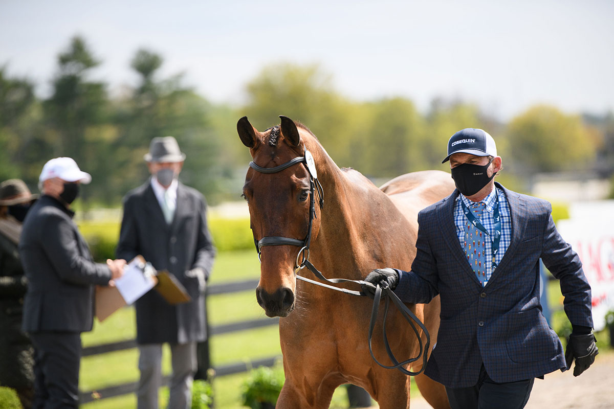Land Rover Kentucky Three-Day Event Jog Photo Gallery - The Plaid Horse ...