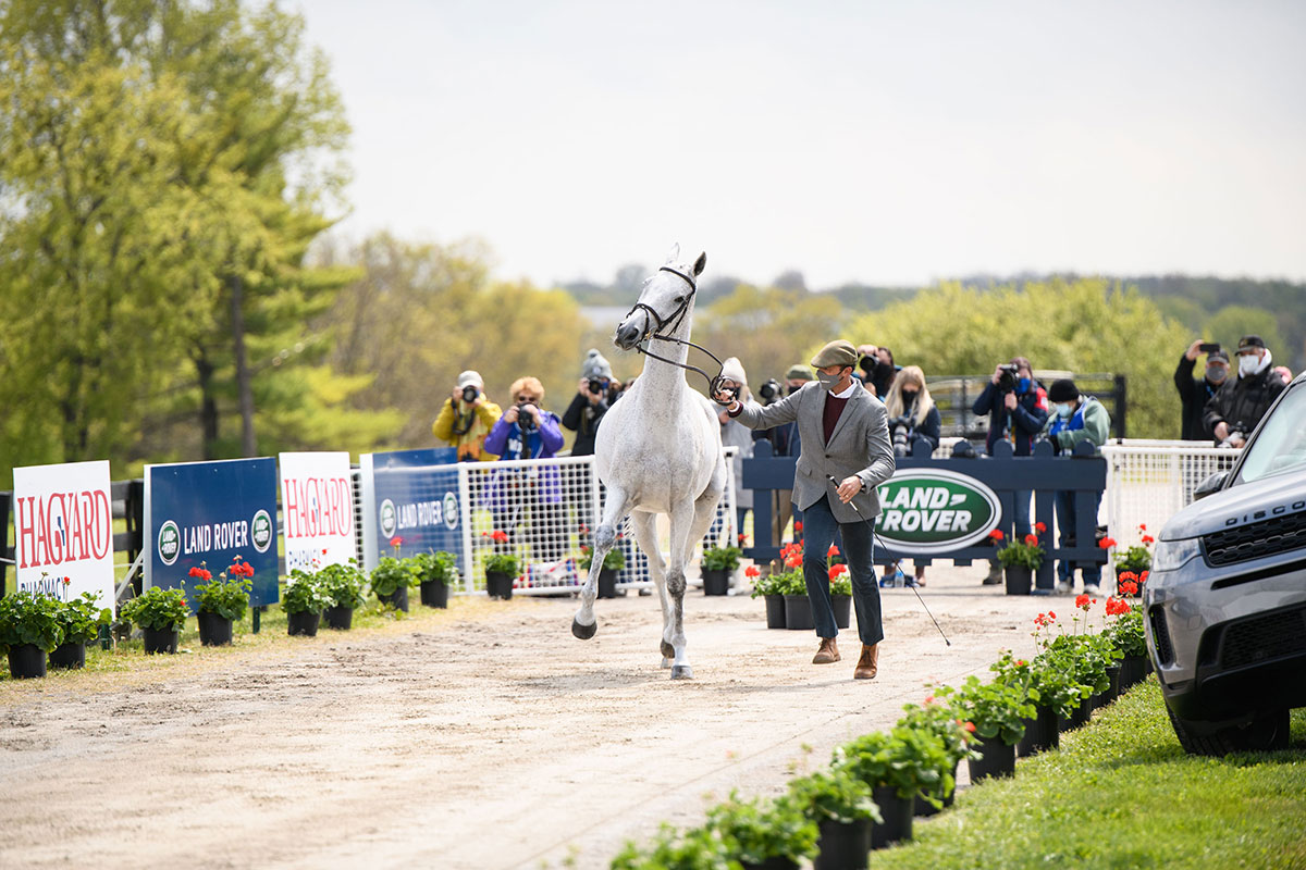 Land Rover Kentucky Three-Day Event Jog Photo Gallery - The Plaid Horse ...
