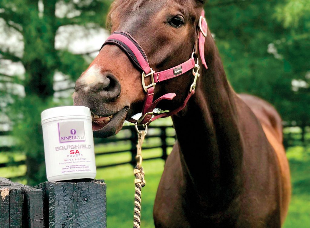 Kinetic Vet: Equine Health Solutions Backed by Science and Respected ...