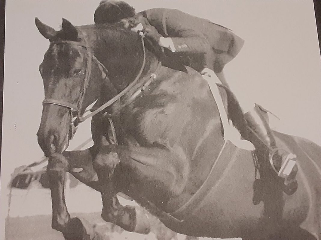 Patty Stovel: Honoring the Individual - The Plaid Horse Magazine