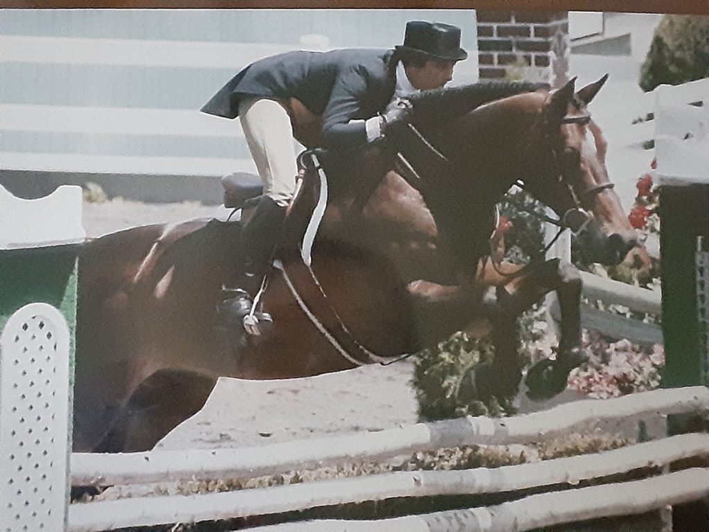 Patty Stovel: Honoring the Individual - The Plaid Horse Magazine