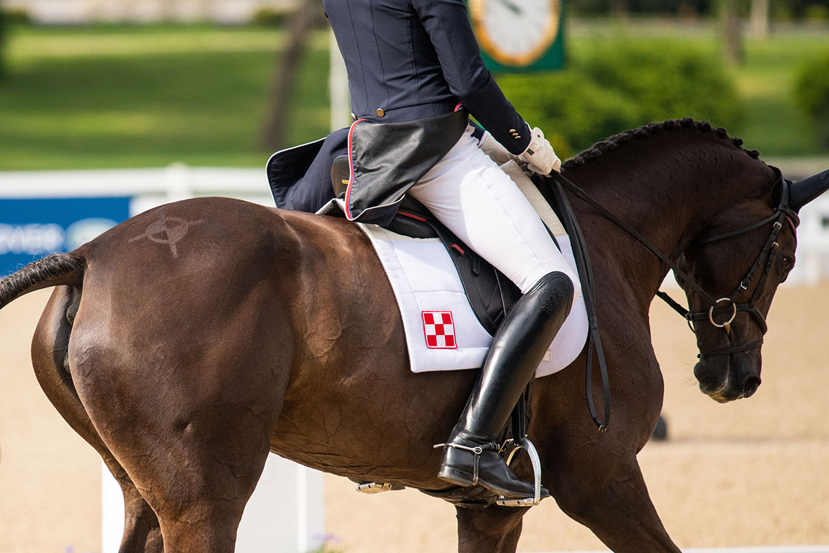 It's In the Details: The Quarter Marks of Land Rover Kentucky Three-Day ...