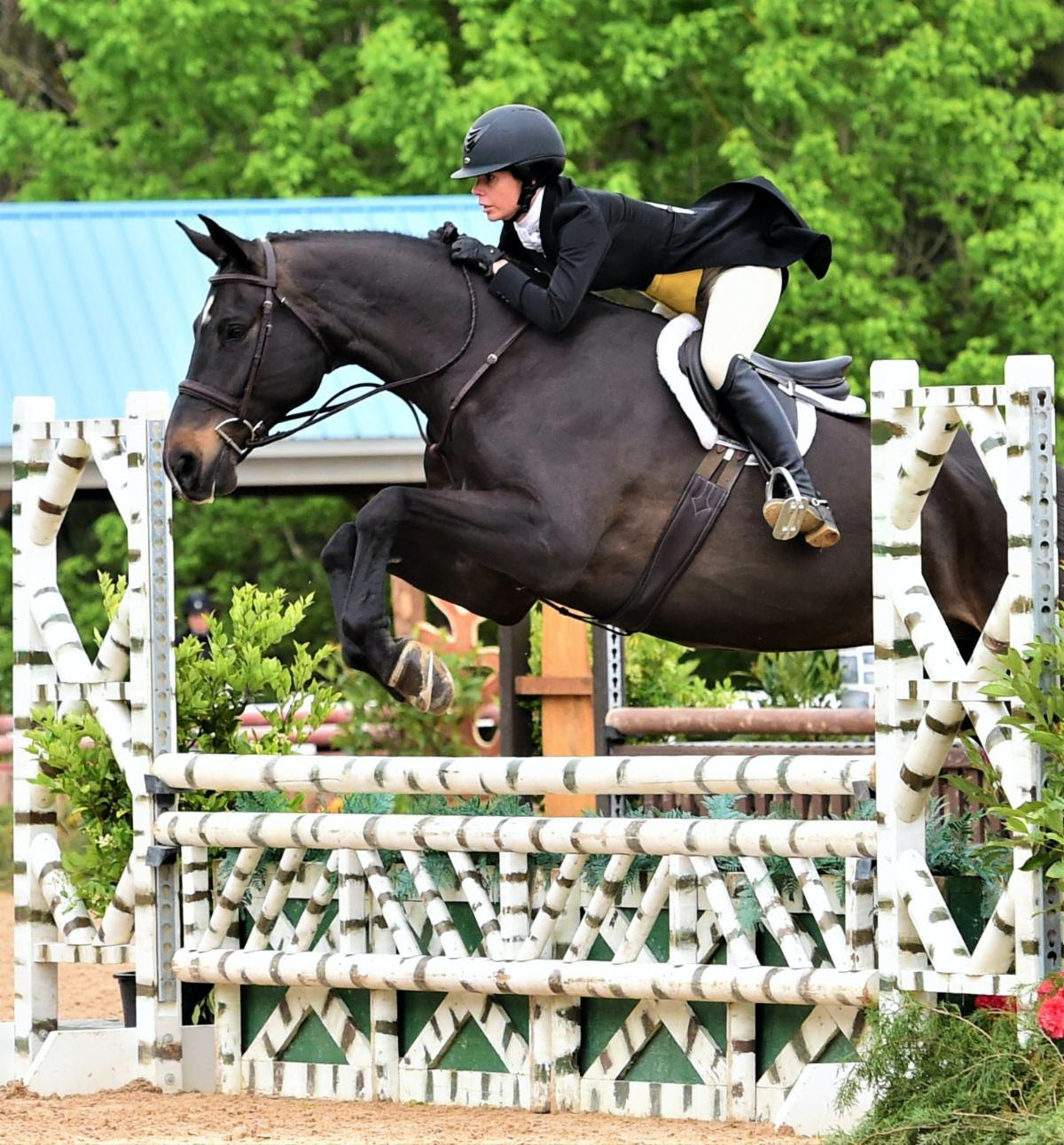Guthrie Rides Croupier to USHJA National Hunter Derby Win at Lexington ...