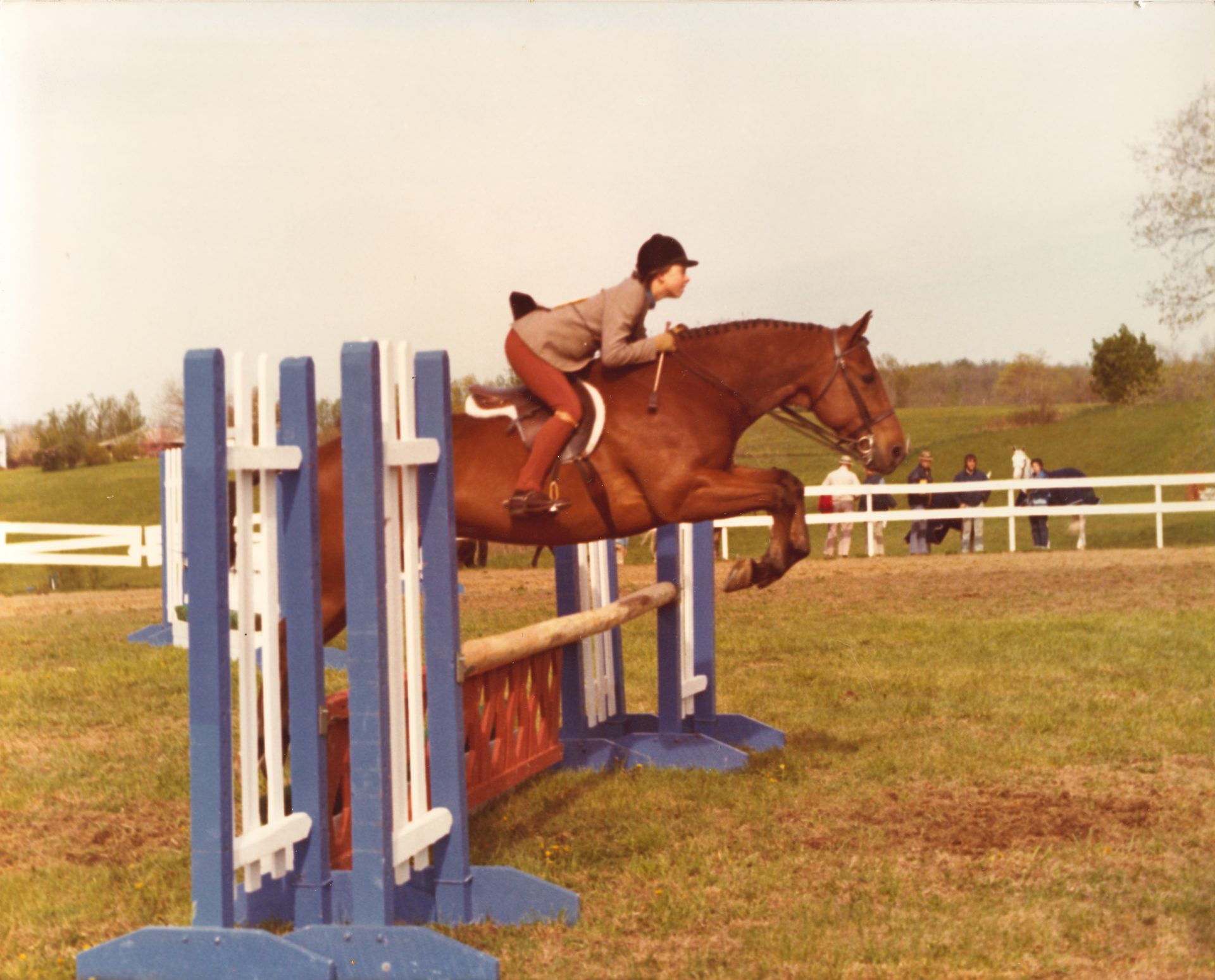 Riders Working the Rust Breeches Look - The Plaid Horse Magazine