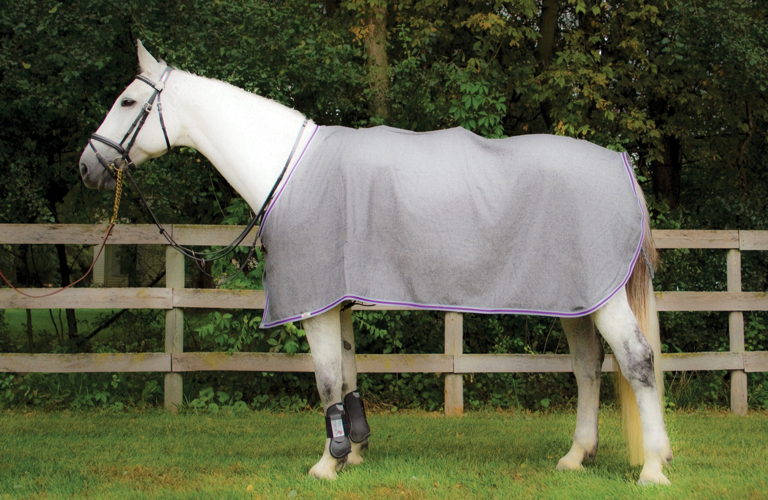 The Clothes Horse: Setting the Bar for Horse and Stable - The Plaid ...