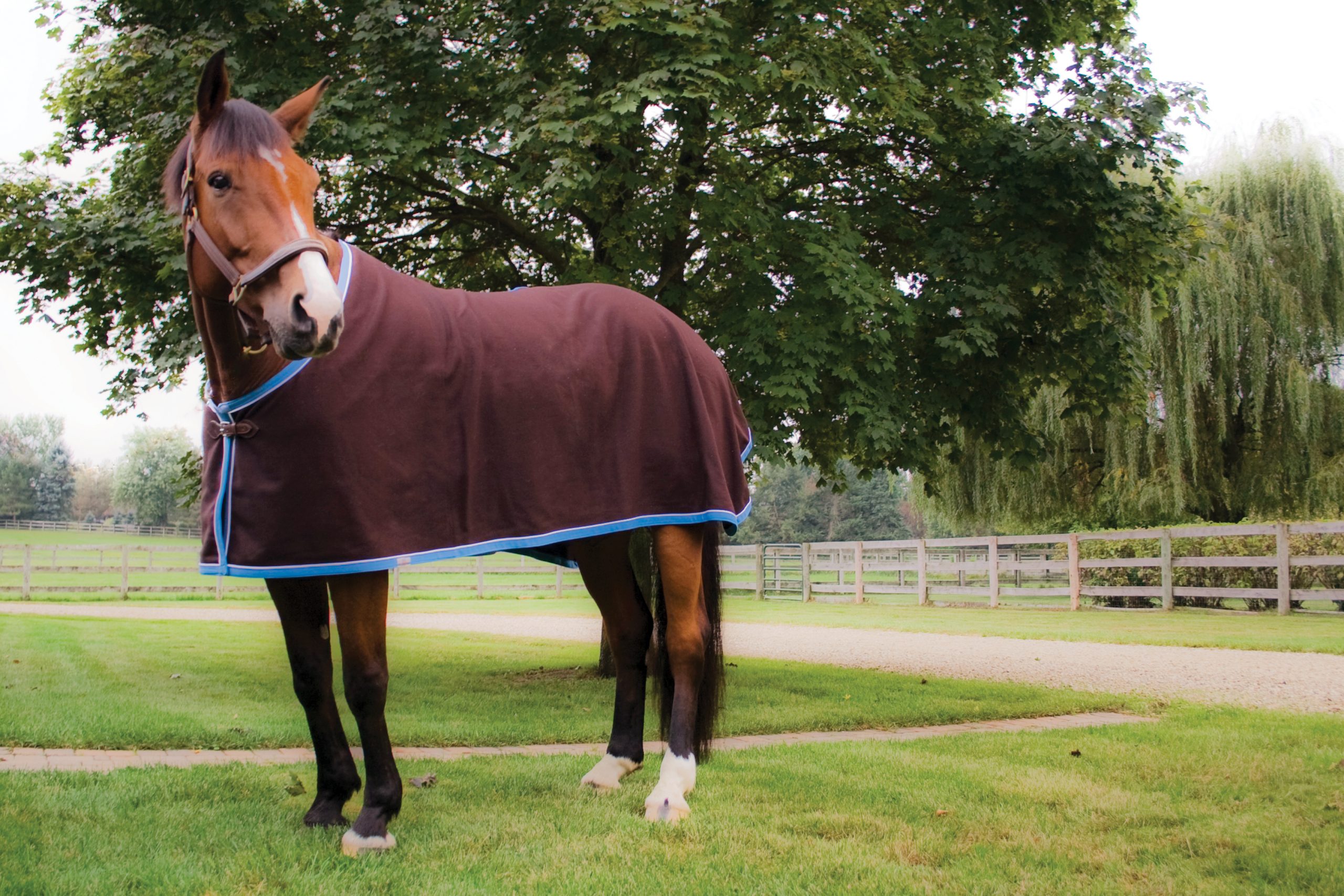 The Clothes Horse: Setting the Bar for Horse and Stable - The Plaid ...