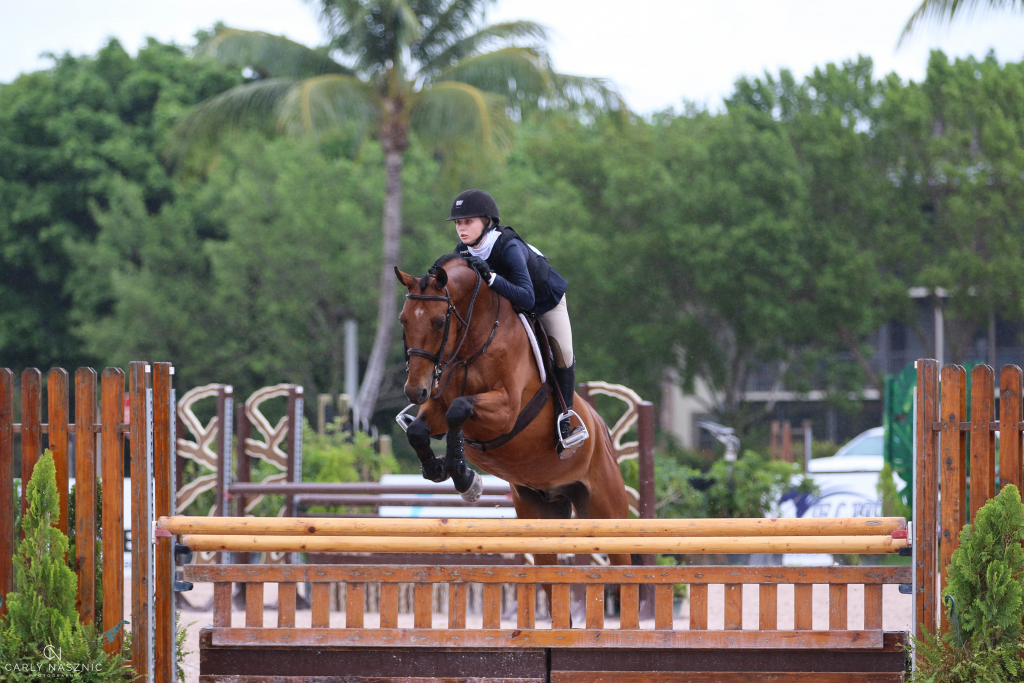 Third Time’s the Charm for Emma Arnhols and Spiros Z in ASPCA Maclay at ...