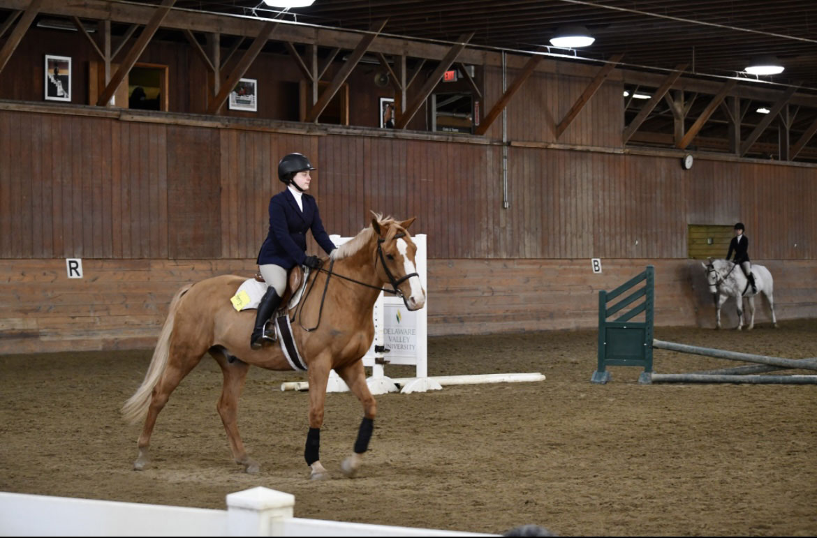 More Than a Lucky Draw: Life Lessons From IEA - The Plaid Horse Magazine