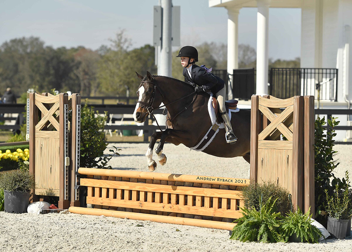 Golden Oldies Ponies Excel for Decades - The Plaid Horse Magazine