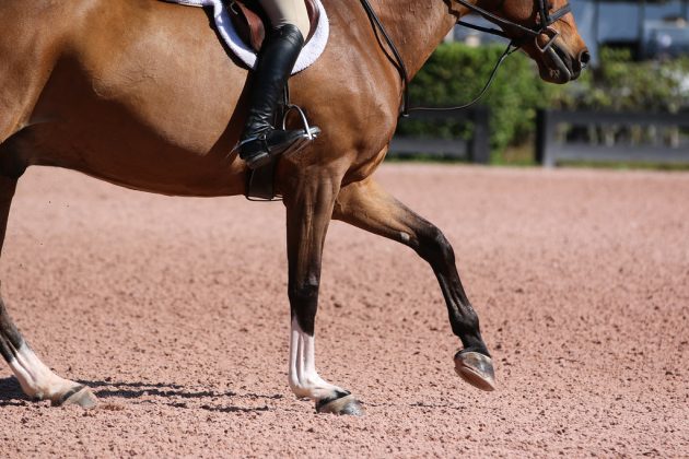 What I Do When the Panic Attack Halts My Ride - The Plaid Horse Magazine