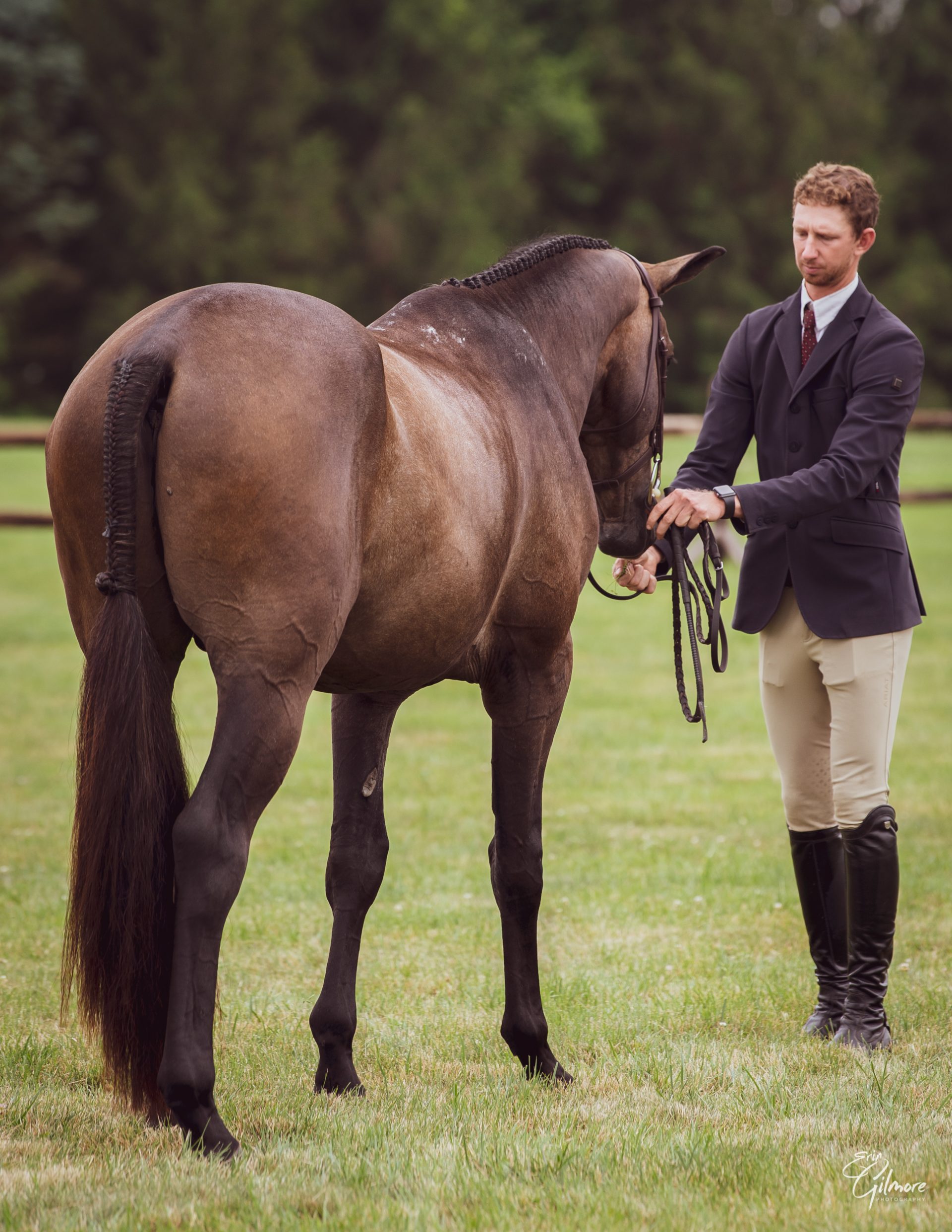 A Step Back in Time: Specialty Breed Divisions at the Upperville Colt ...