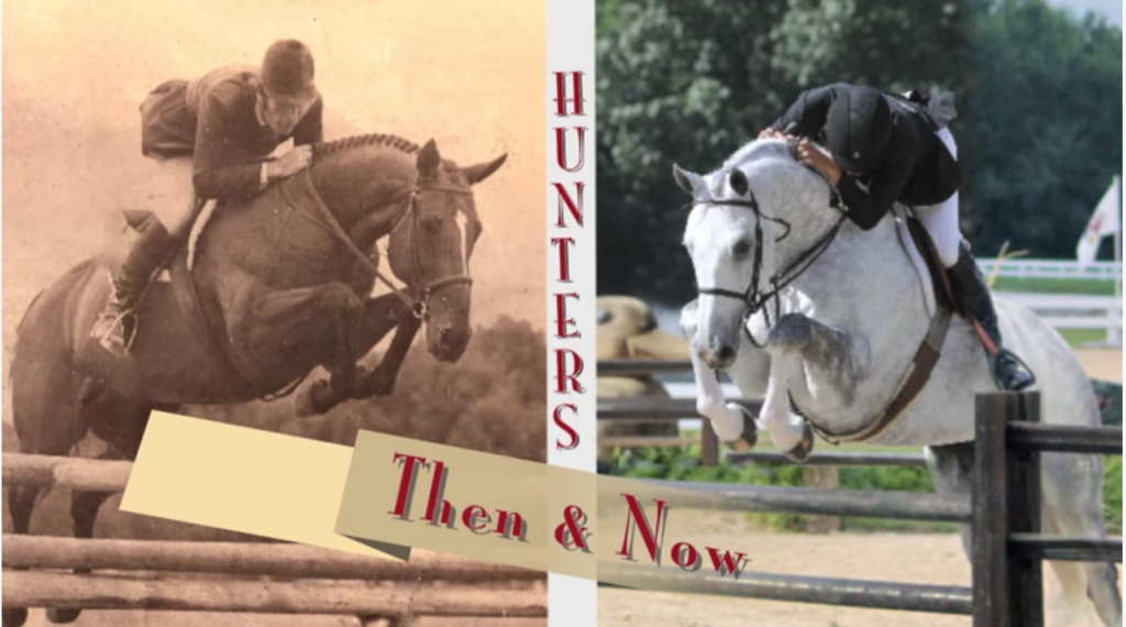 Watch and Learn: Hunters Then & Now - The Plaid Horse Magazine