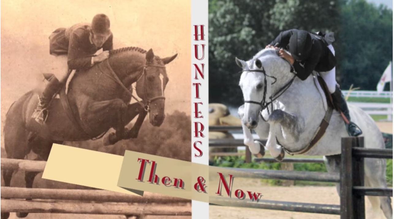 Watch and Learn: Hunters Then & Now - The Plaid Horse Magazine