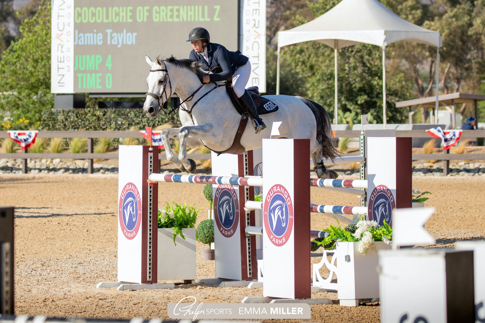 Jamie Taylor Dominates $22,500 Spruce Meadows 1.35m NEEd for Speed ...