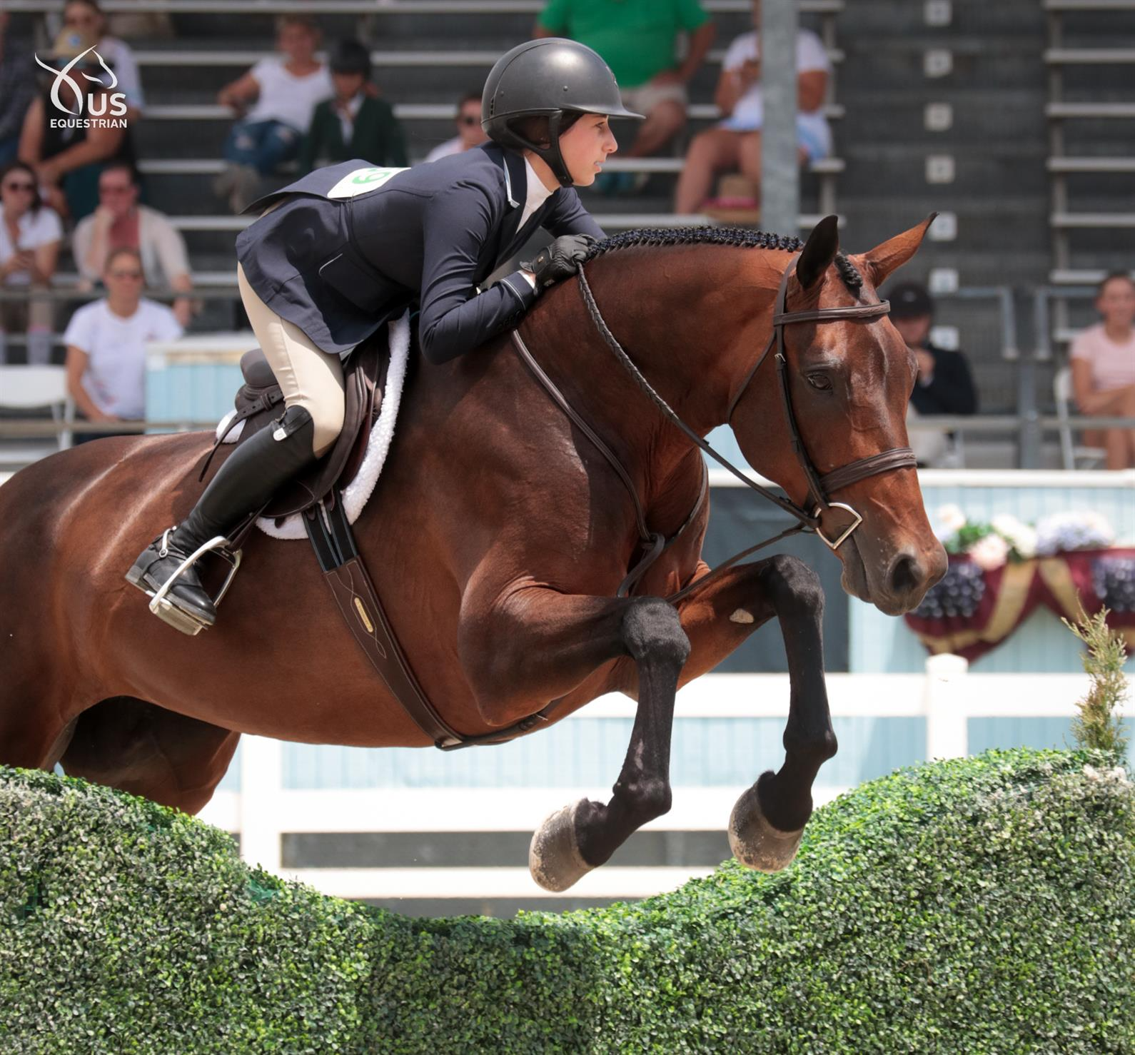 Arabesque and Clara Propp Win 3’3” Overall Grand Championship at 2021 ...