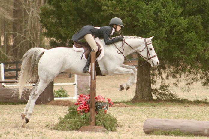 Grit and Grace: on Learning From Failure - The Plaid Horse Magazine