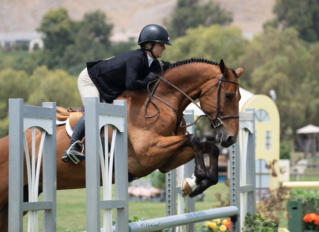 Caroline Ingalls, Tonia Cook-Looker, & Melissa Brandley Shine in the ...