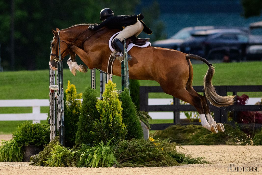 2021 USHJA International Hunter Derby Championship Top 24 in Photos ...