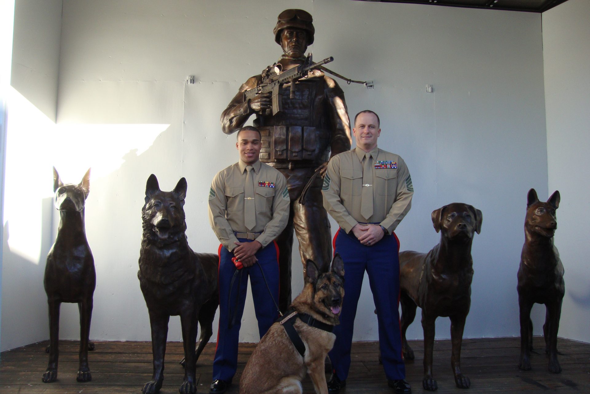 War Dog Lucca K458, USMC Honored with the Sergeant Reckless Award - The ...