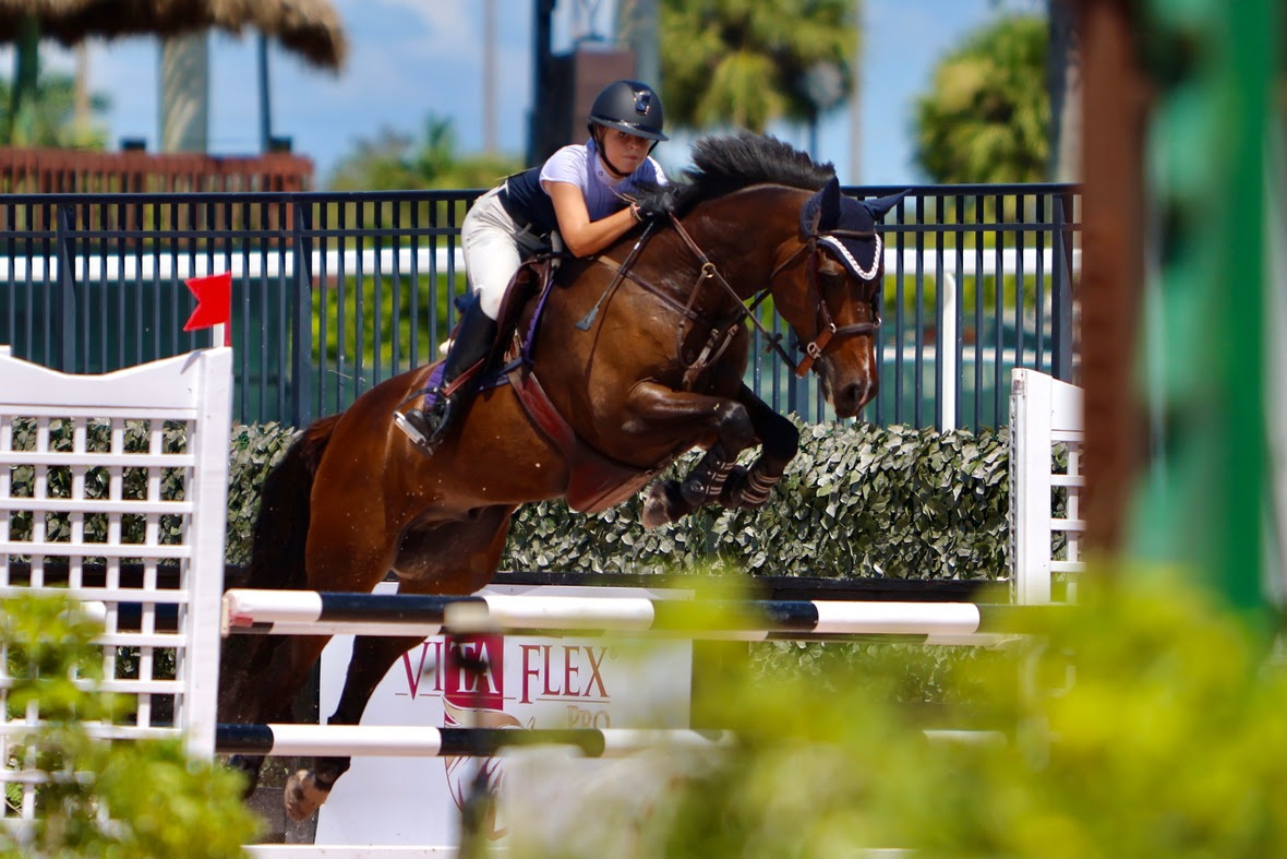 ATG Equestrian's Jumpers Deliver During ESP Summer II - The Plaid Horse ...