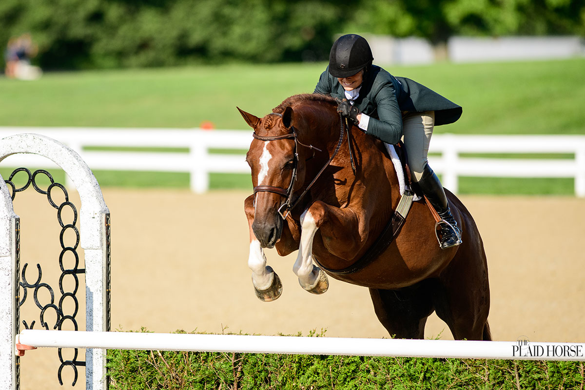 Dazzling Derby Finals - Classic Round Photo Gallery - The Plaid Horse ...