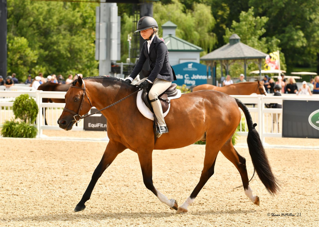 Three Divisions Start on Day One of 2021 USEF Pony Finals Presented by ...