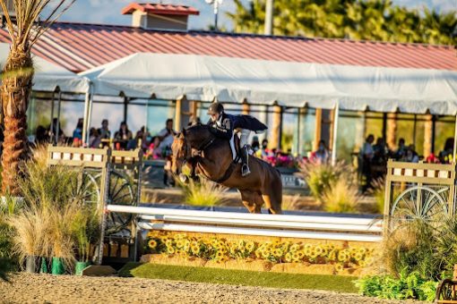 Finding the Right Mindset for Riding - The Plaid Horse Magazine