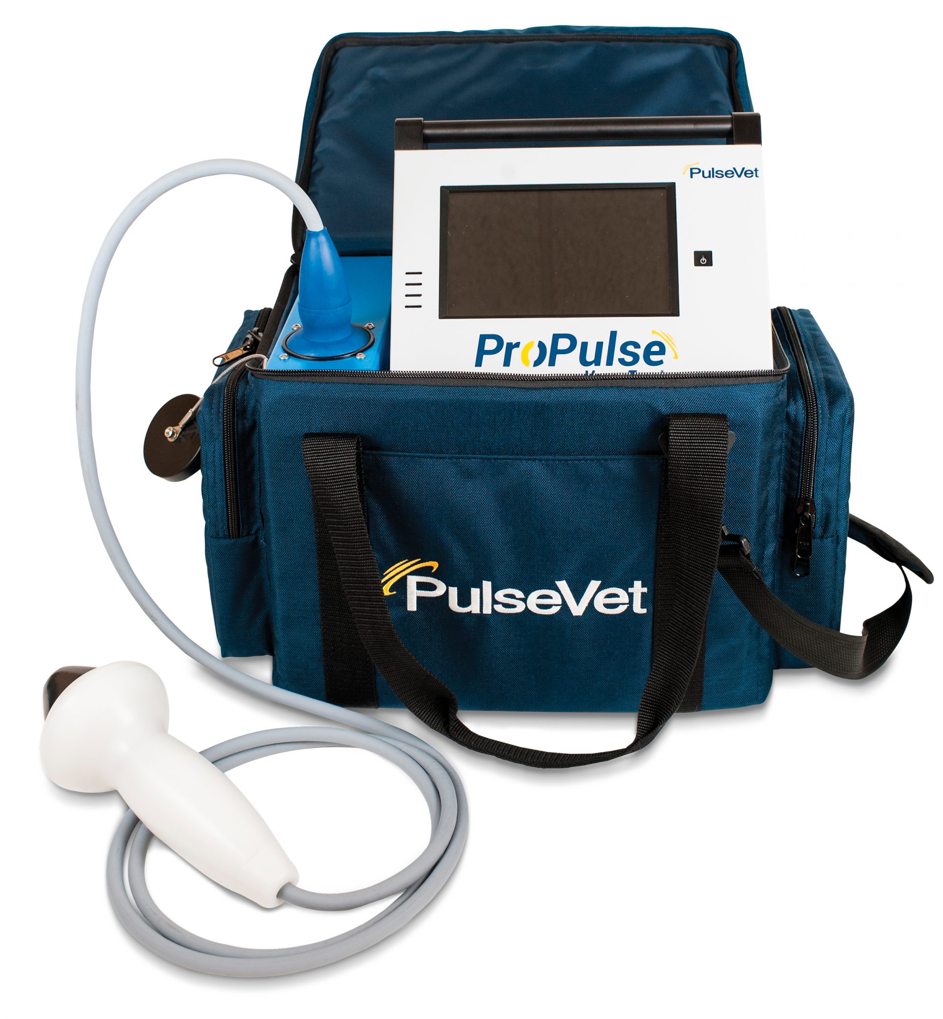 PulseVet: The Basics and Benefits of Shock Wave Therapy for Horses ...