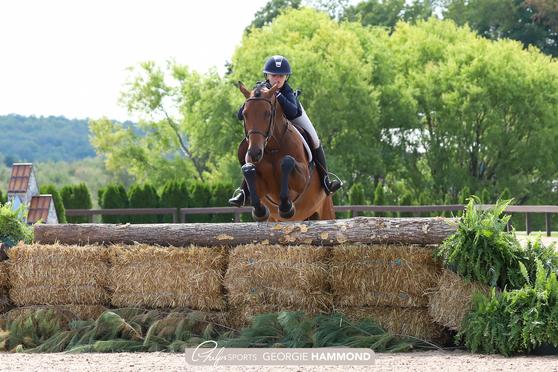Grace Debney and Quimby Top $10,000 Traverse City Hunter Derby - The ...