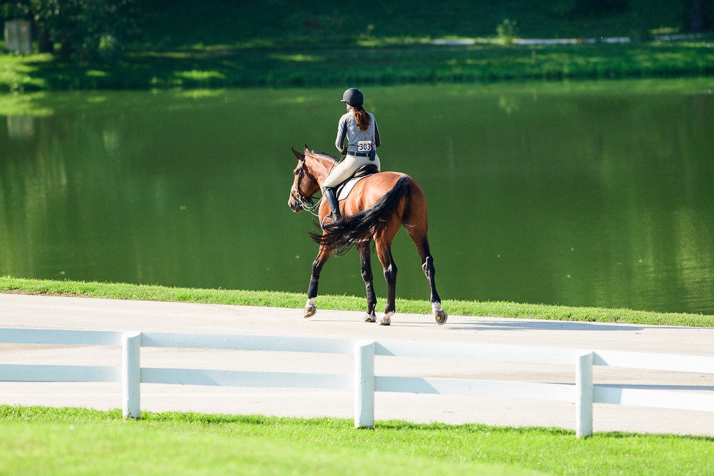 The Science Behind Why Riding is So Therapeutic - The Plaid Horse Magazine
