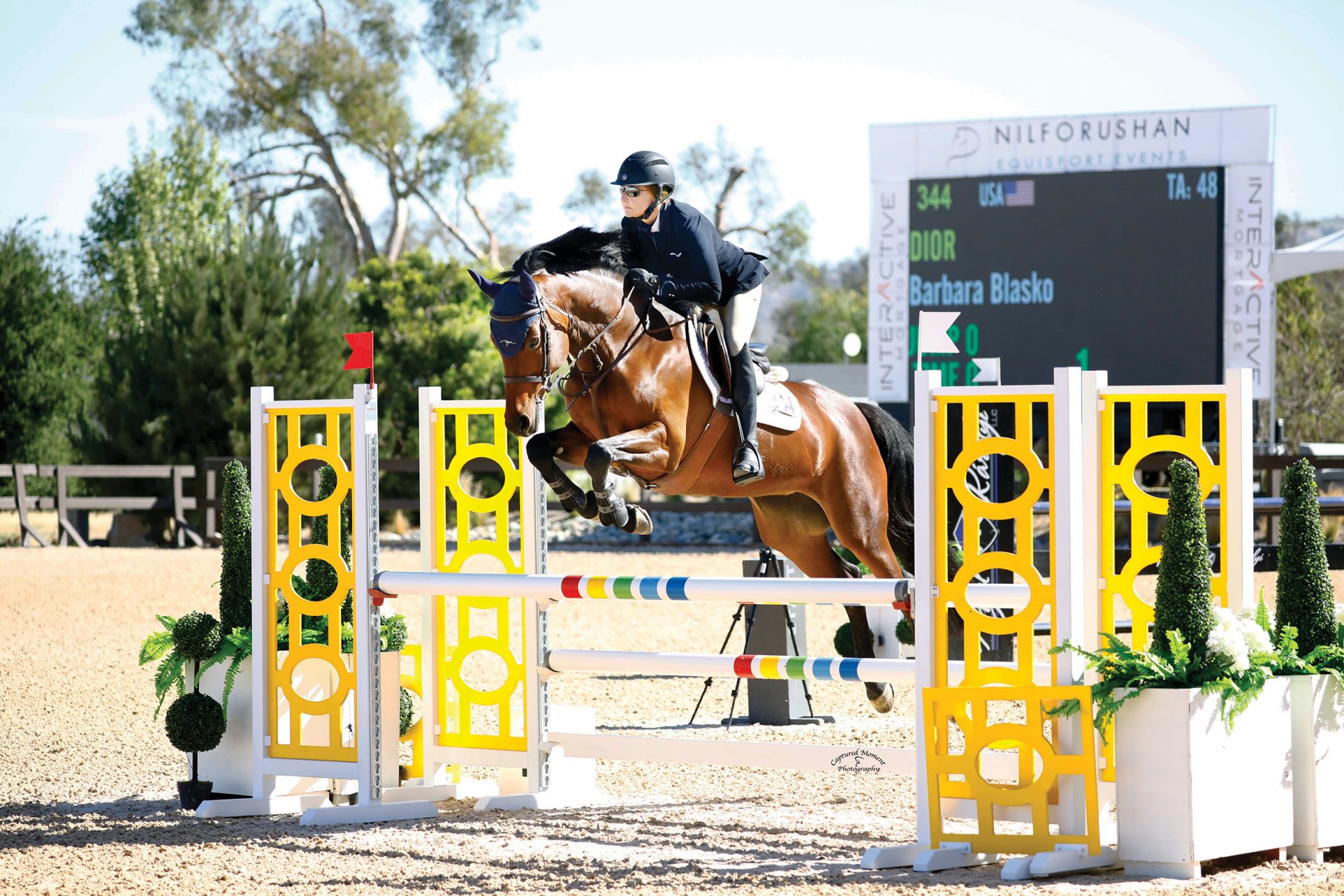 ShowMD’s Dr. Barbara Blasko: The Doctor is in...at the Horse Show - The ...