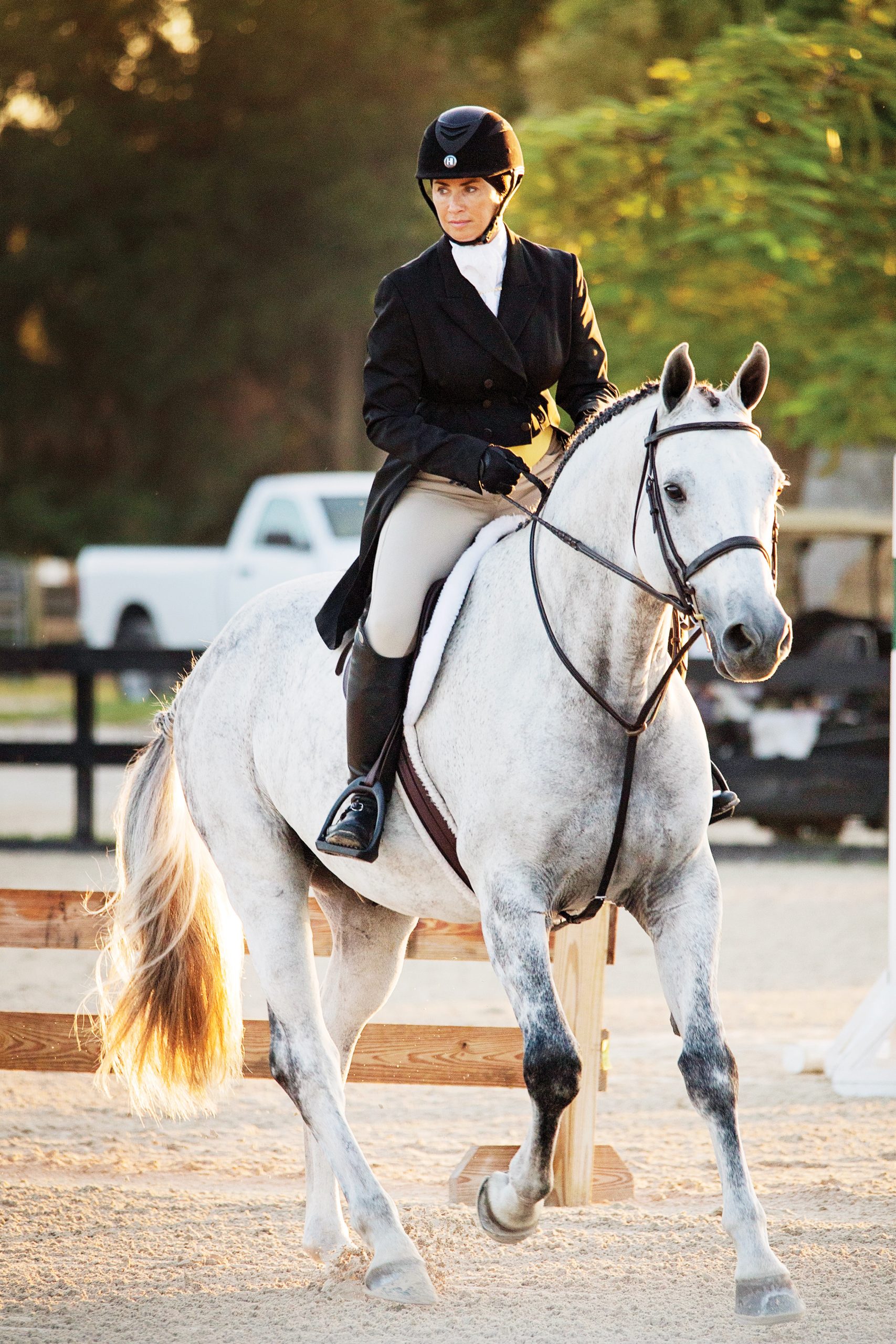 Hassinger Farm: Where the Passion For Horses Comes First - The Plaid ...