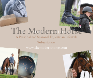 The Equestrian’s Guide to Surviving Cold Winters - The Plaid Horse Magazine