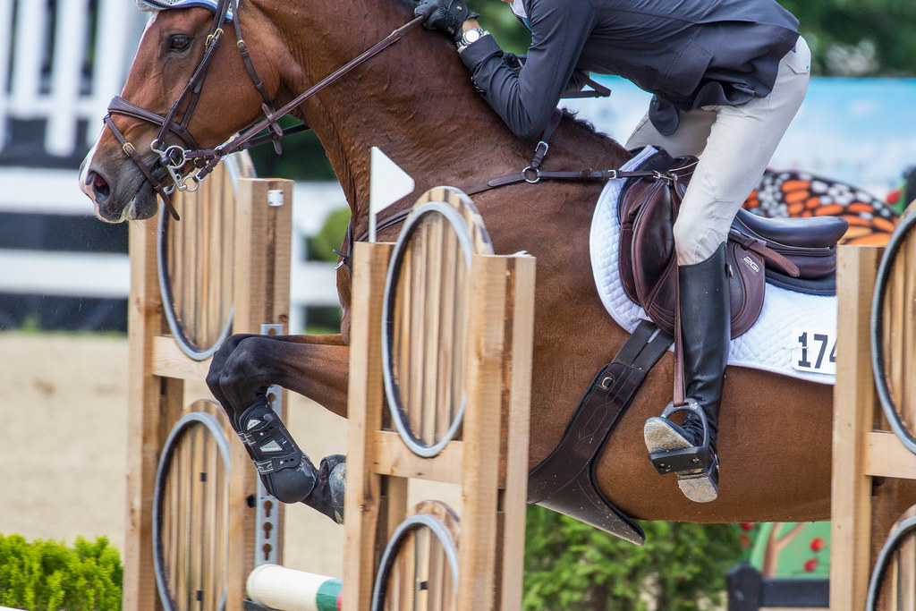 Questions to Ask Yourself if You're Afraid of Jumping - The Plaid Horse ...