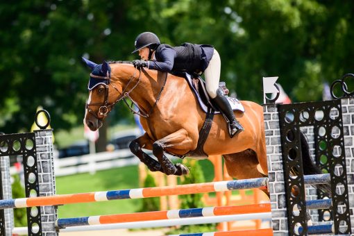 Questions to Ask Yourself if You're Afraid of Jumping - The Plaid Horse ...