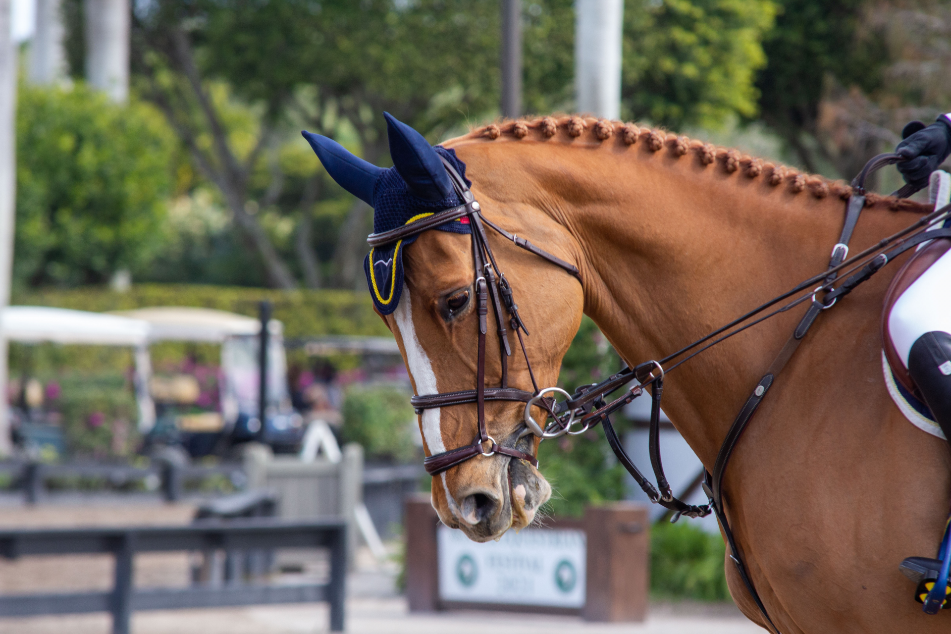 19 European Tack Stores to Consider - The Plaid Horse Magazine