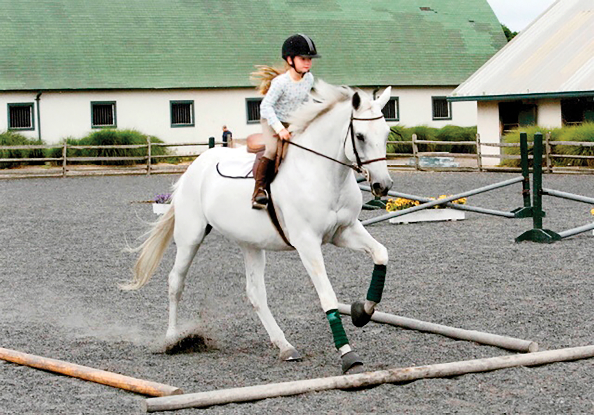 Hero Bean Stevenson: A Deep Love for Horses—and a Desire to Improve ...