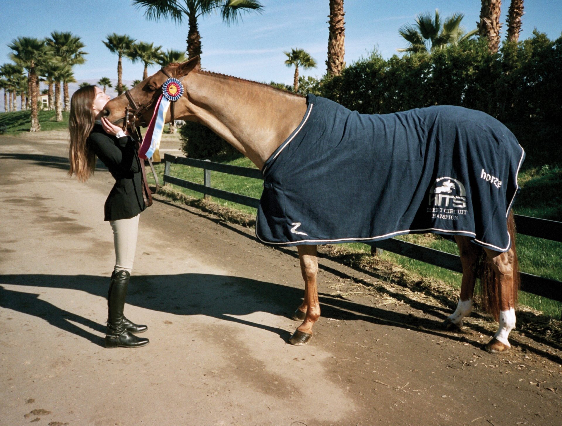 Hero Bean Stevenson: A Deep Love for Horses—and a Desire to Improve ...