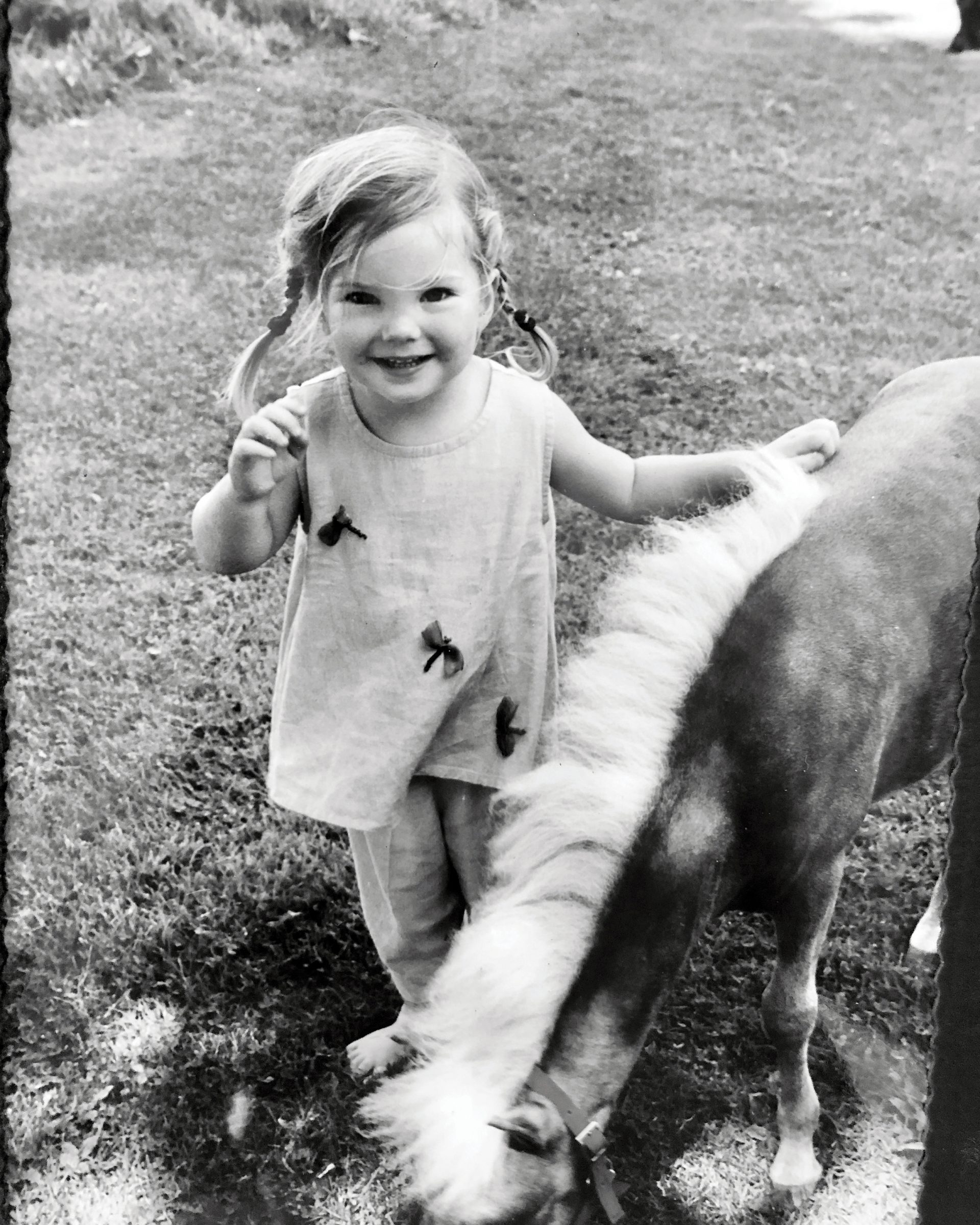 Hero Bean Stevenson: A Deep Love for Horses—and a Desire to Improve ...