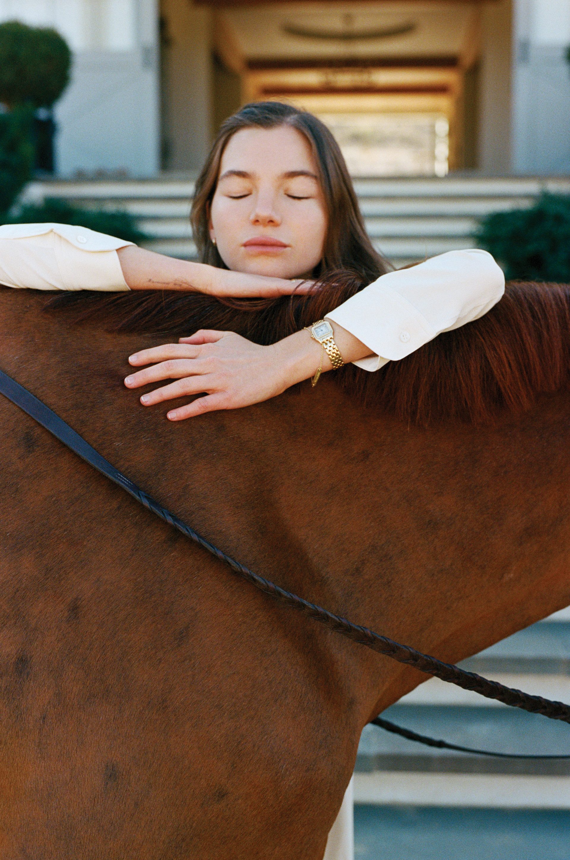 Hero Bean Stevenson: A Deep Love for Horses—and a Desire to Improve ...