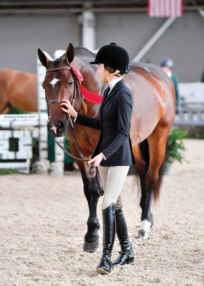 Hero Bean Stevenson: A Deep Love for Horses—and a Desire to Improve ...