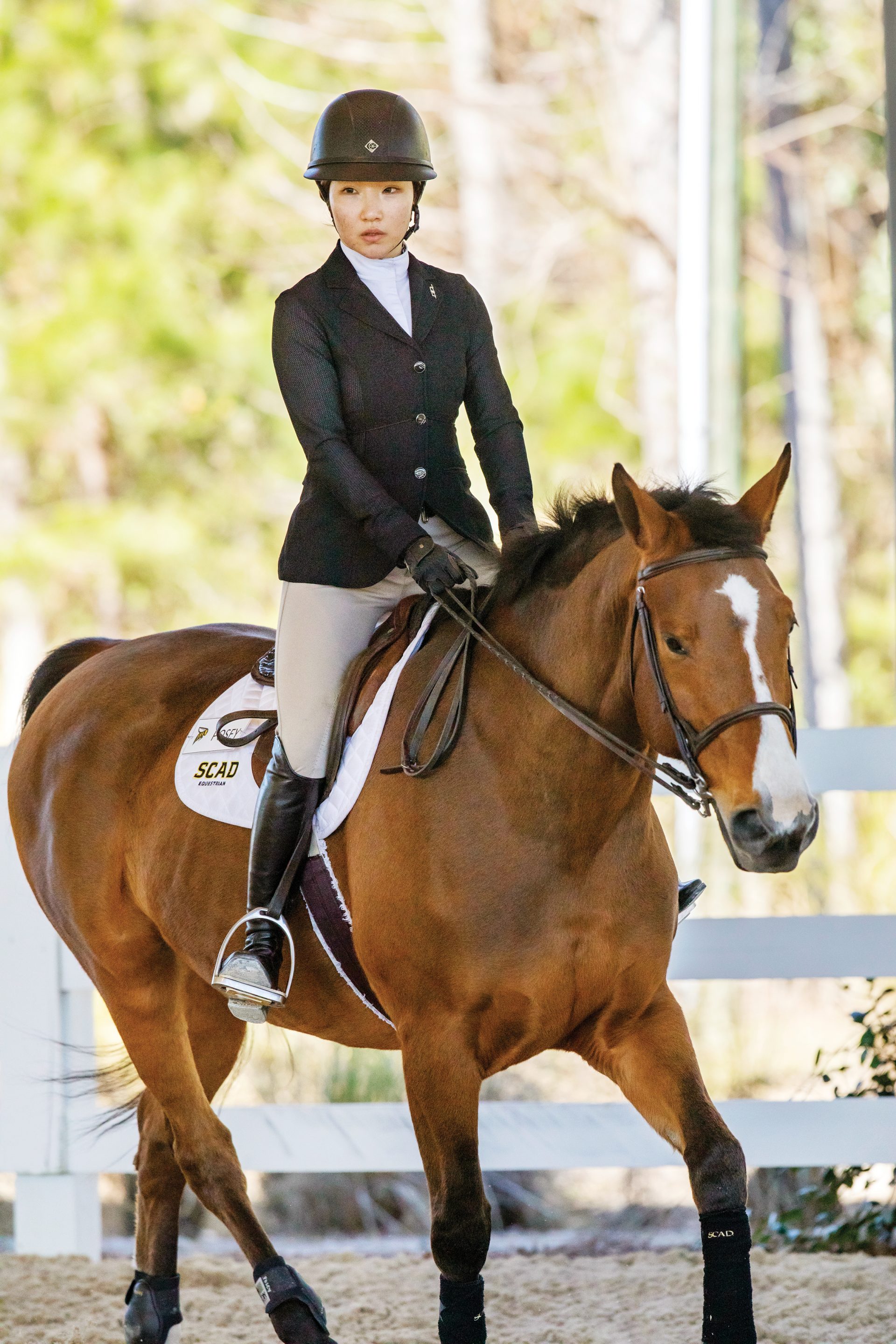 A World-Class Curriculum at Savannah College of Art and Design - The ...